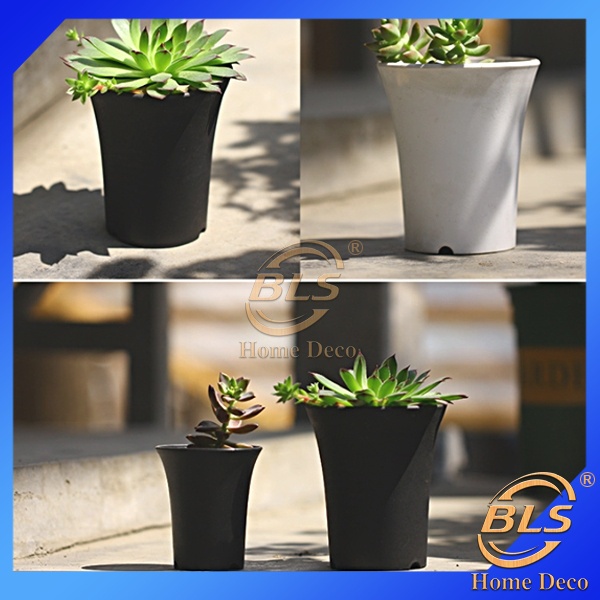 BLS VIENTIANE BLACK & WHITE SUCCULENT ROUND FLOWER POT CACTUS POT PASU ...
