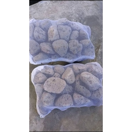 Pumice Stone Aquarium Media Filter (Size 2cm - 3cm) 400+- Gram | Shopee ...