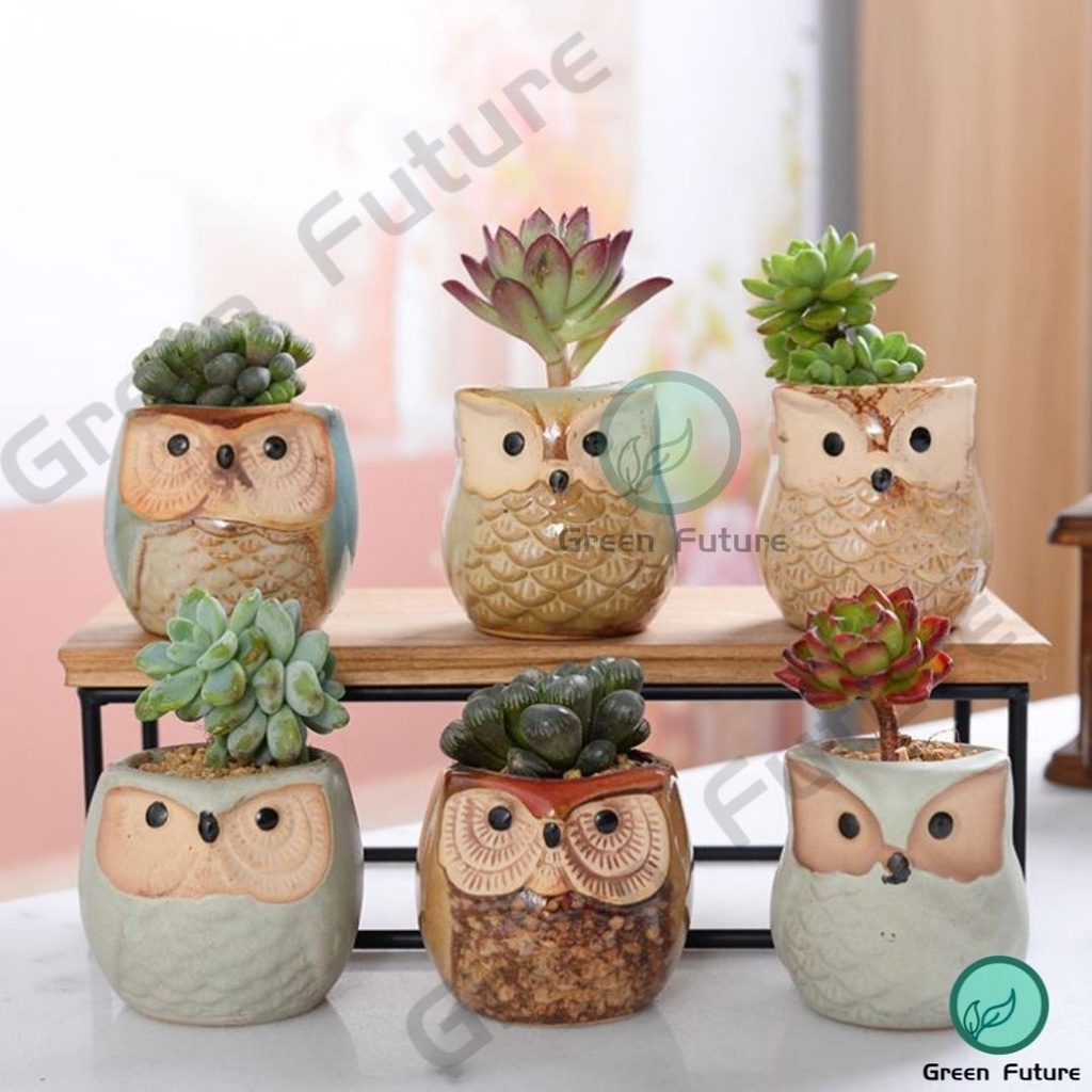 Succulent Pot Cactus Pot Ceramic Pot Zakka Minimalism Planter Pasu ...