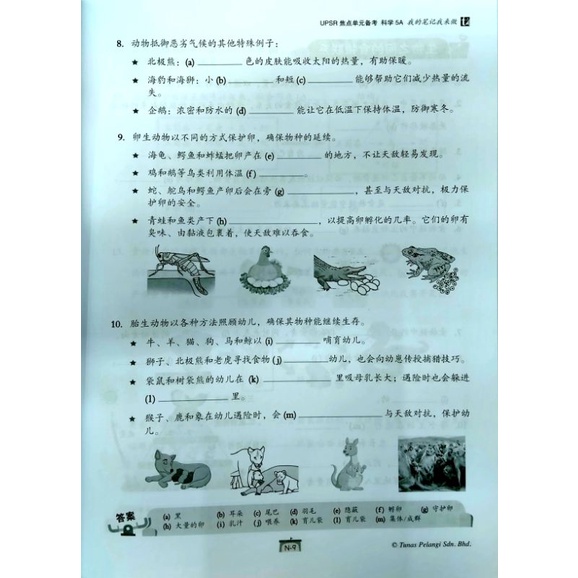 BUKU LATIHAN(2026)PRAKTIS FOKUS UASA TAHUN 4A & 4B,5A & 5B,6A & 6B ...