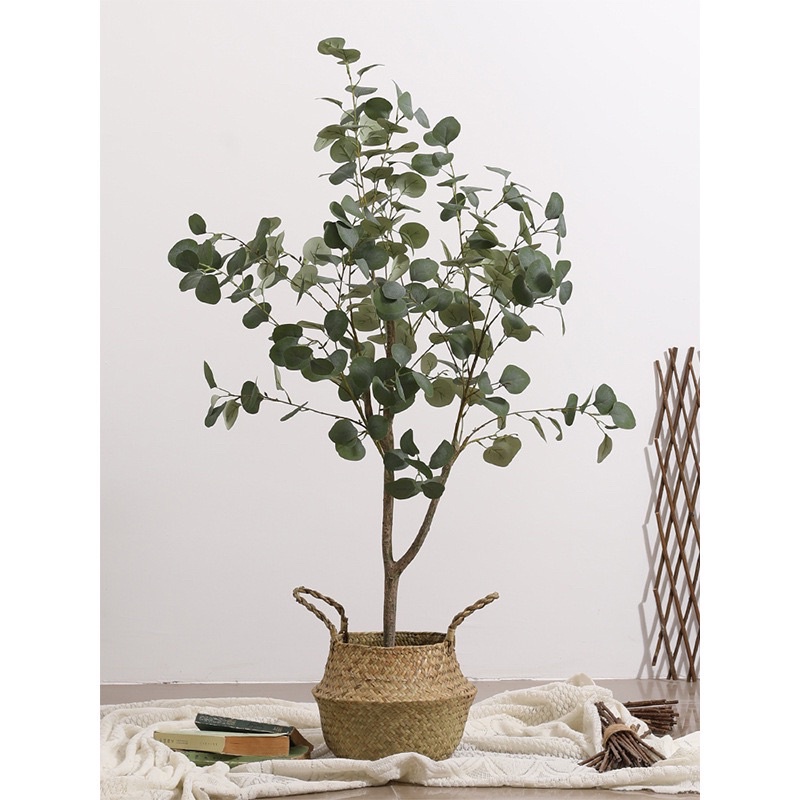 Poko Eucalyptus Tree Money Plant 90/120/130/150/180CM pokok hiasan ...