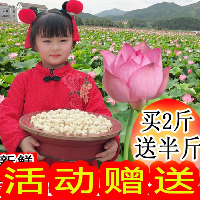Fresh dried lotus seeds to core Xiangtan Tremella Lianzi Gen新鲜莲子干货去芯湘潭 ...