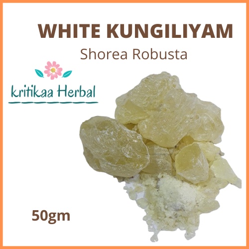 WHITE KUNGILIYAM | VATERICA INDICA | WHITE DAMMAR GUM | Raw 50gm ...