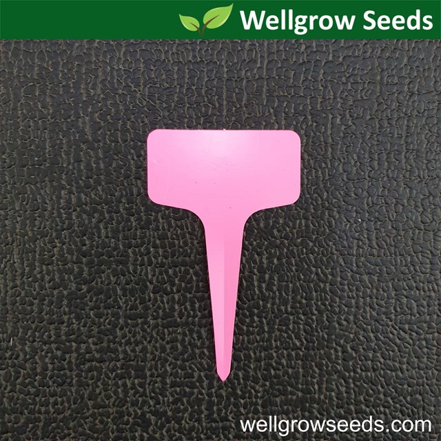 Plant Tag / Seedling Tray Label : SL11 (100pcs) | Shopee Malaysia