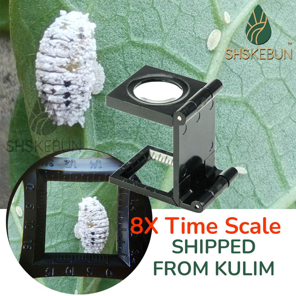 Foldable Magnifying Glass 8X Kanta Pembesar 放大镜 Mirror Scale Inspection ...