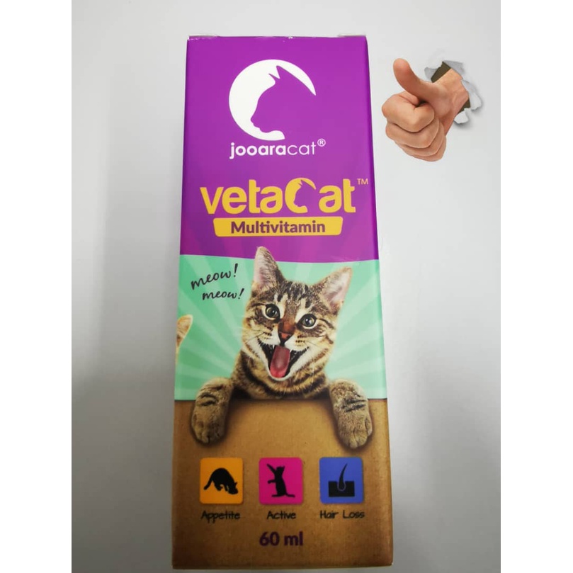 VetaCat Multivitamin Syrup for Cat & Kitten (60ml) FREE Syringe ...