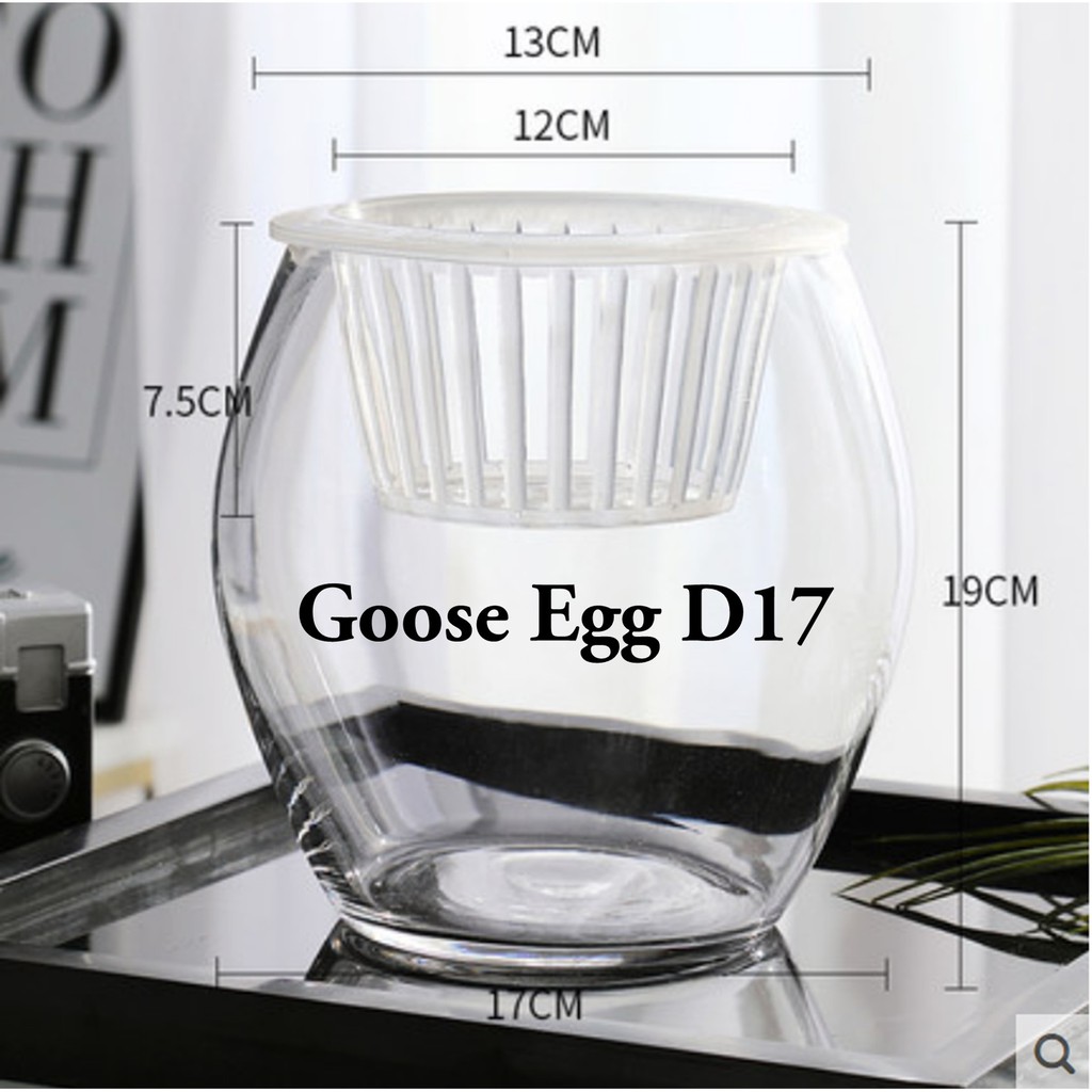 Pasu Kaca bulat Glass Vase Goose egg shape hydroponic vase pasu bunga ...