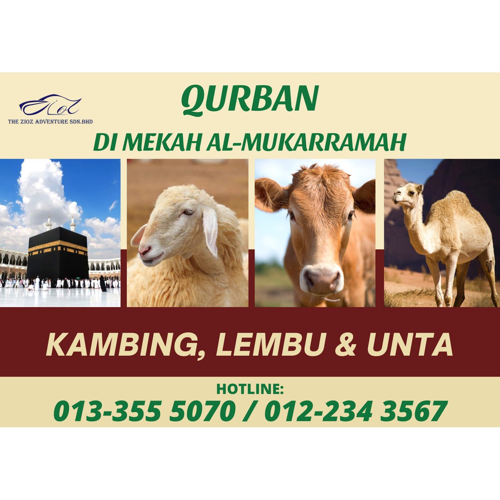 Qurban Unta Di Tanah Suci Mekah | Shopee Malaysia