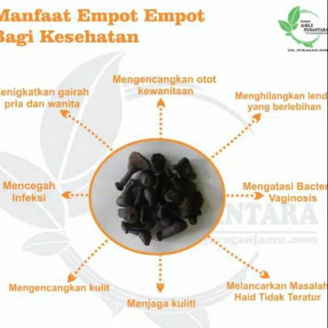 (Jogja) JJ 50 gr 25 gr Original black and white chicken Empot mpot-mpot ...