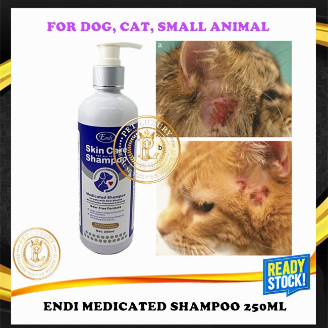 Endi Skin Care Medicated Shampoo / Anti Fungal Bacterial (Dog & Cat ...