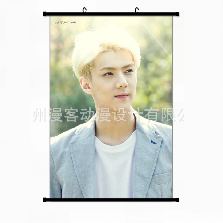 !READY STOCK! WONDER-X 60x90CM Large EXO Luhan Poster Tapestry ...