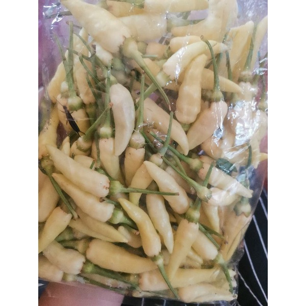 LADA PUTIH SABAH 1kg rm30 | Shopee Malaysia
