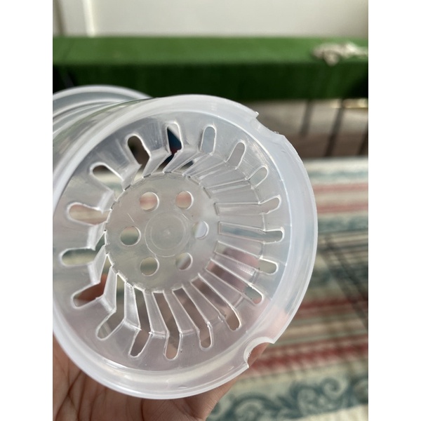 Eco Pot 4 inci Thailand Viral | Transparent Plastic | Flexible | Pasu ...