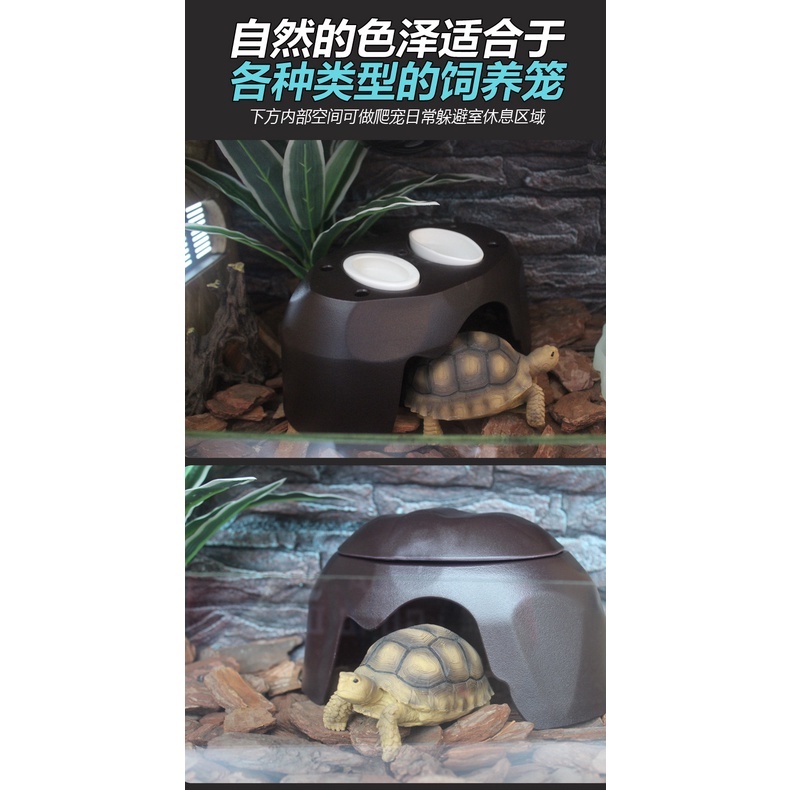 tortoise cave tortoise humid cave | Shopee Malaysia