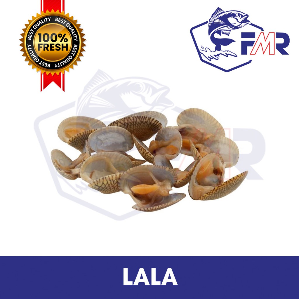 Fresh Lala Packet 1 KG (Klang Valley Only) | Shopee Malaysia