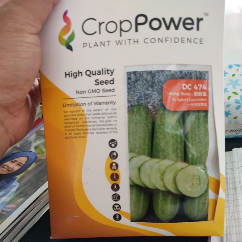 🌟🌟🌟Benih Timun Susu King DC 474 F1 🌟🌟🌟 | Shopee Malaysia