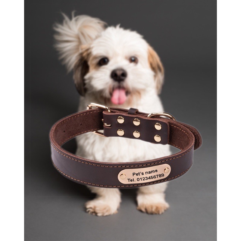 Personalised genuine leather collar (custom made) | Shopee Malaysia
