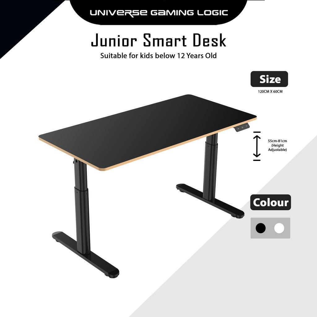 Smart Desk Standing Desk For People Below 160CM Height Adjustable Study ...