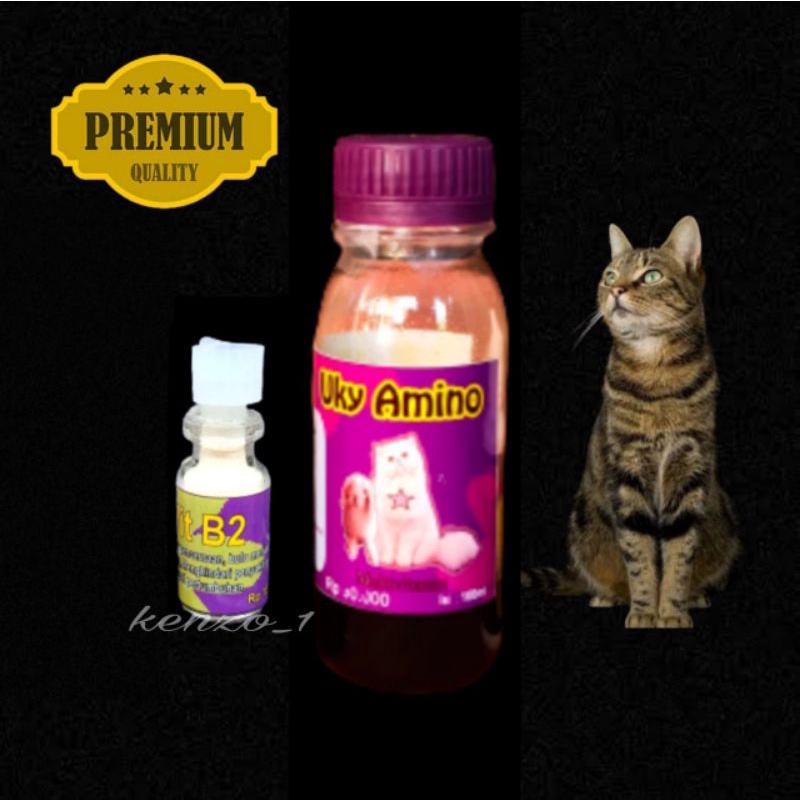 Amino Cat Vitamin Package 100ml & B2 For Health Care Feather Feather ...