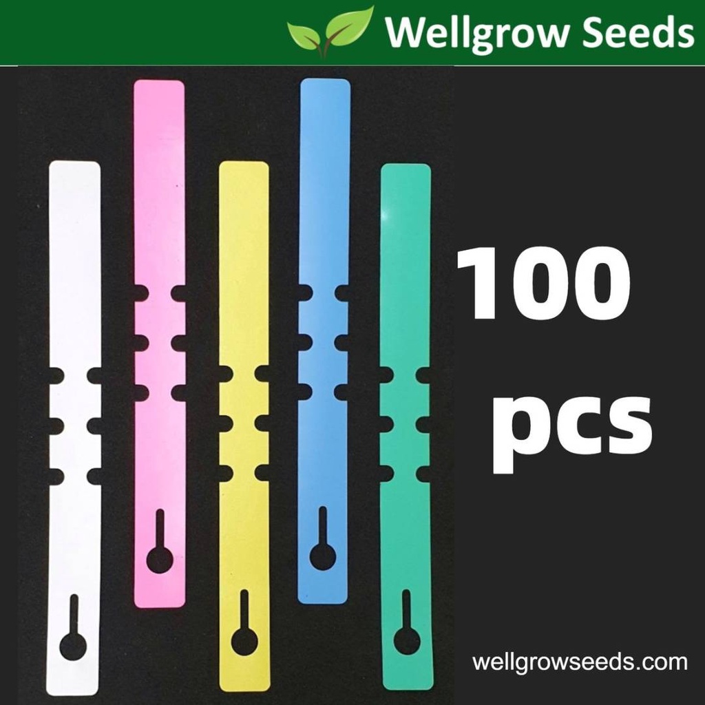 100pcs Plant Label/Plant Tag/Tree Label/Fruit Marker/Penanda Pokok ...