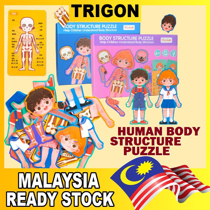 TRIGON Human Body Jigsaw Puzzle Kids Educational Wooden Games Card ...