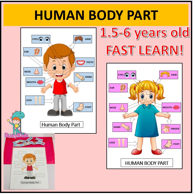 Body Recognition - Human Body Parts [ Early Learning Activity Busy Book ...