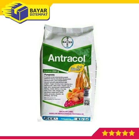 ANTRACOL 70WP Zinc Fungicide 250 Grams Factory Packaging Pest Control ...