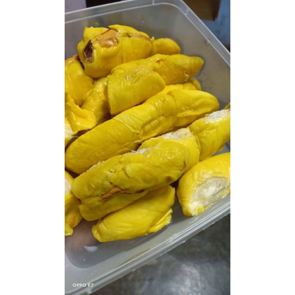 Karak Premium Musang King (With Shell) | Shopee Malaysia