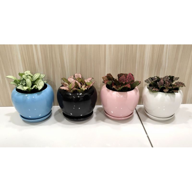 Flower Pot With Plate/Ceramic Colorful Mini Pot/Office Table Deco ...