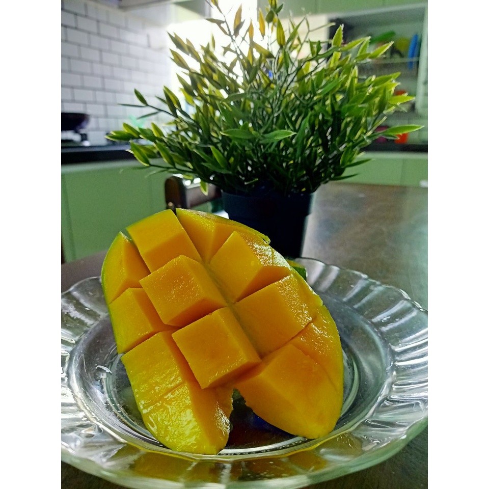 Ready Stock Mangga Harumanis Original Perlis | Shopee Malaysia Ready Stock Mangga Harumanis Original Perlis | Shopee Malaysia