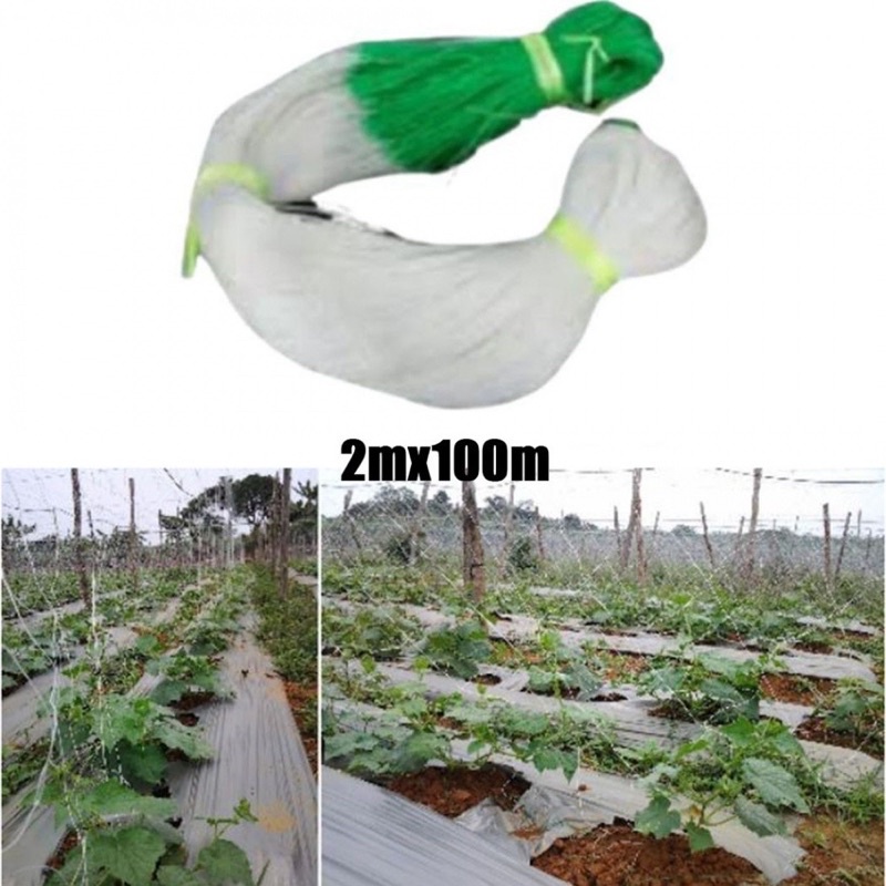 2M x 100M Cucumber Net Netting Jaring Timun Plant Support Net Plant Climbing | Shopee Malaysia
