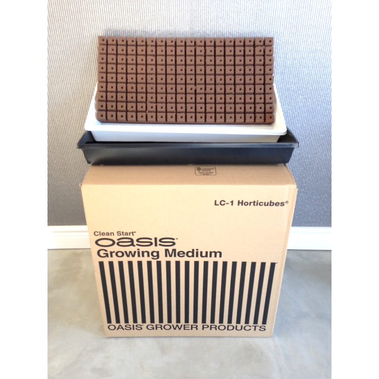 Rockwool Oasis Horticubes [5,520 CUBES](bubble wrapped) Hydroponic ...