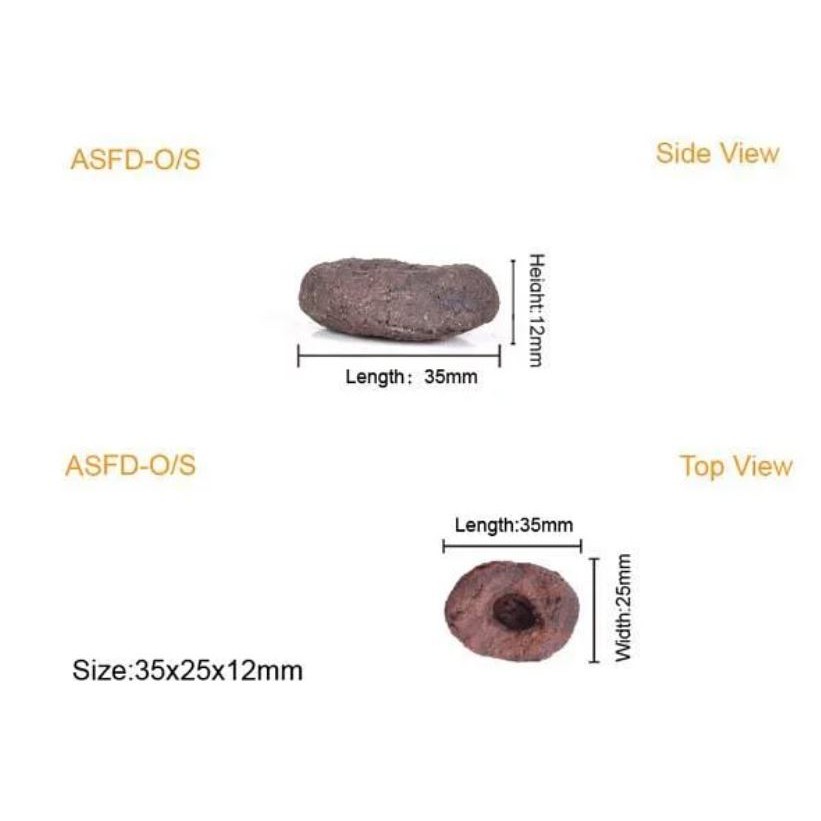 AS Fraggie Holic - ASFD-O/S - 24 Pcs (Aquarium System Solution ...
