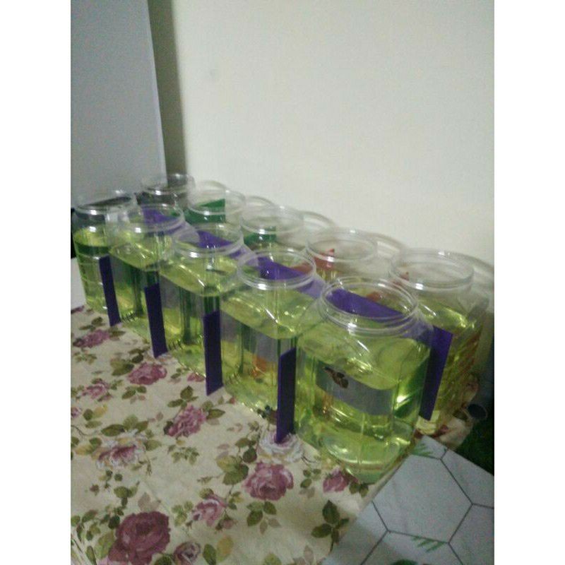 SU TANK BETTA DIVIDER / PENGHADANG SU TANK BETTA / PENYEKAT BALANG IKAN ...