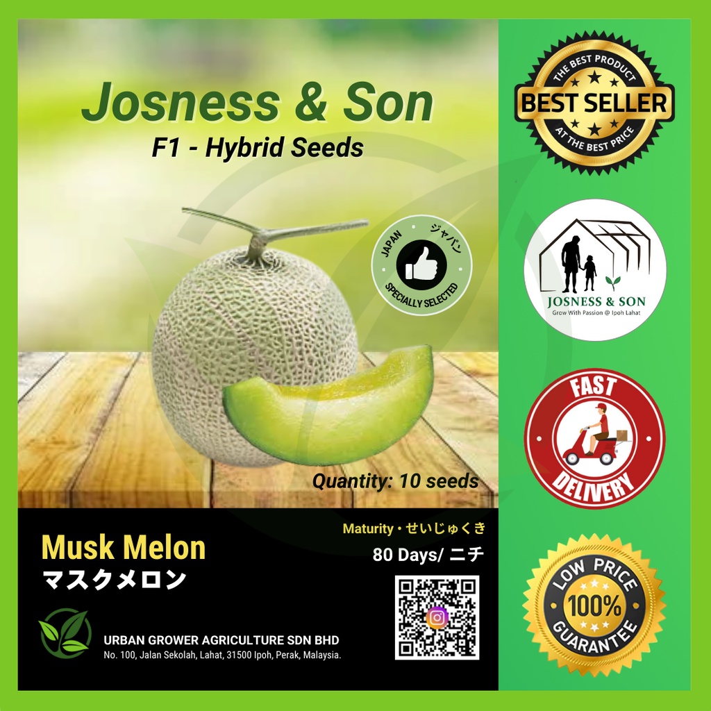 Japanese Musk Melon seeds /Japanese Biji Benih Musk Melon / 日本网纹蜜瓜种子 ...