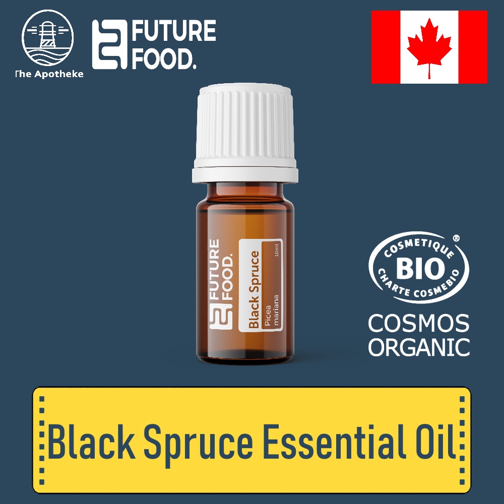 Pure Black Spruce Essential Oil Organic & Therapeutic Grade Canada 10mL ...