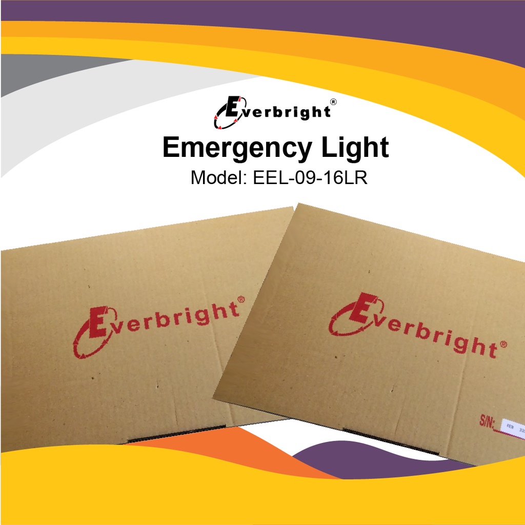 EVERBRIGHT Recess Mounted 20 LED chips emergency light come with 3.6V ...