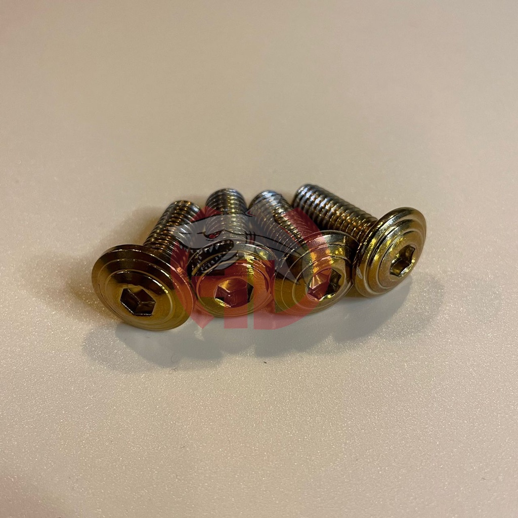 SKRU PIRING DISC GOLD 4 PCS SCREW DISC PLATE FRONT REAR TITANIUM GOLD ...