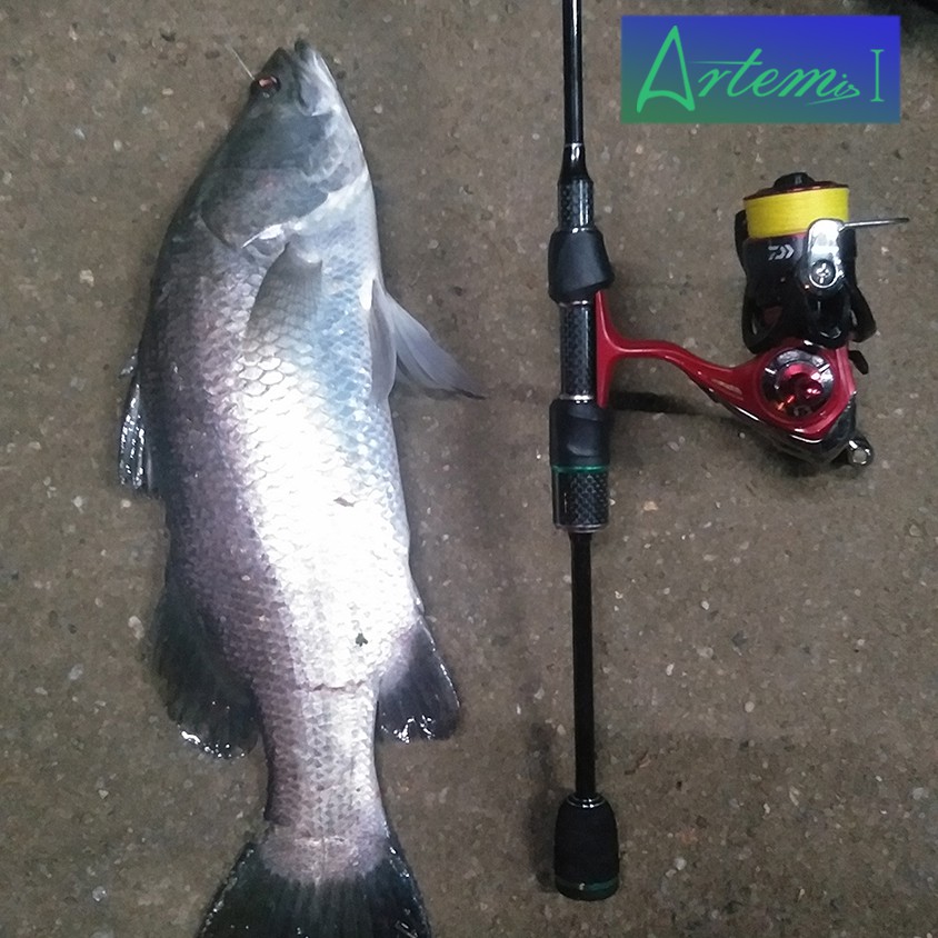 Experience the Ultimate Fishing Adventure with Artemis Ultralight Rods ...