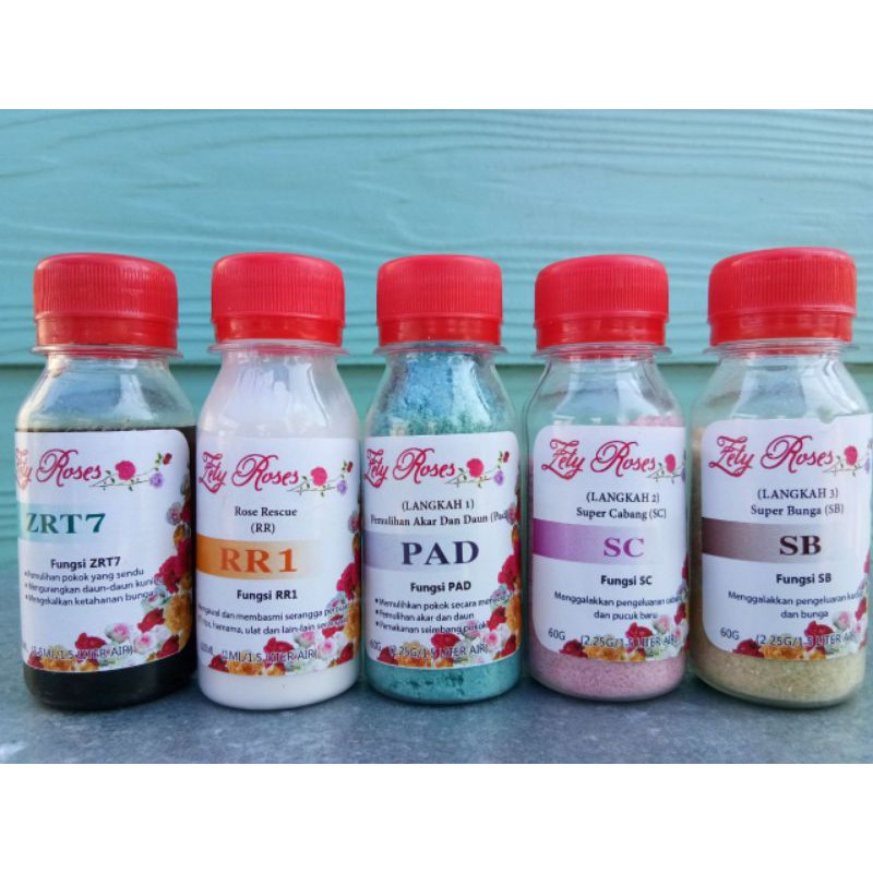 SET SEMBURAN 5 SERANGKAI/ROSE TREATMENTS ZETY ROSES | Shopee Malaysia