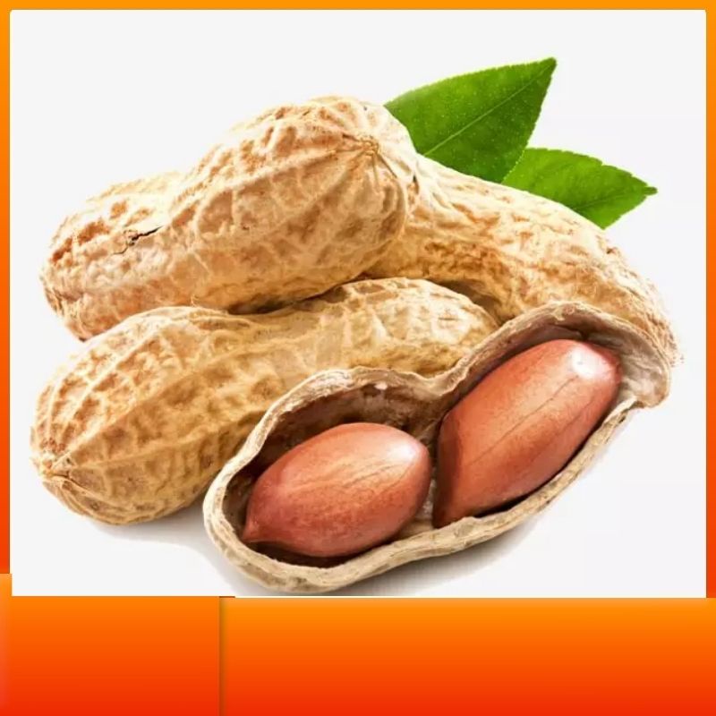Kacang / Peanut / Biji besar / flavour Walnut / 花生 / 核桃味花生 | Shopee ...