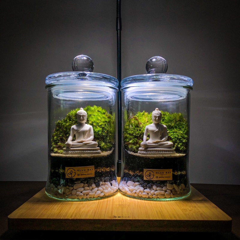 Buddha Terrarium | Buddha Jar | Live Plants | Shopee Malaysia