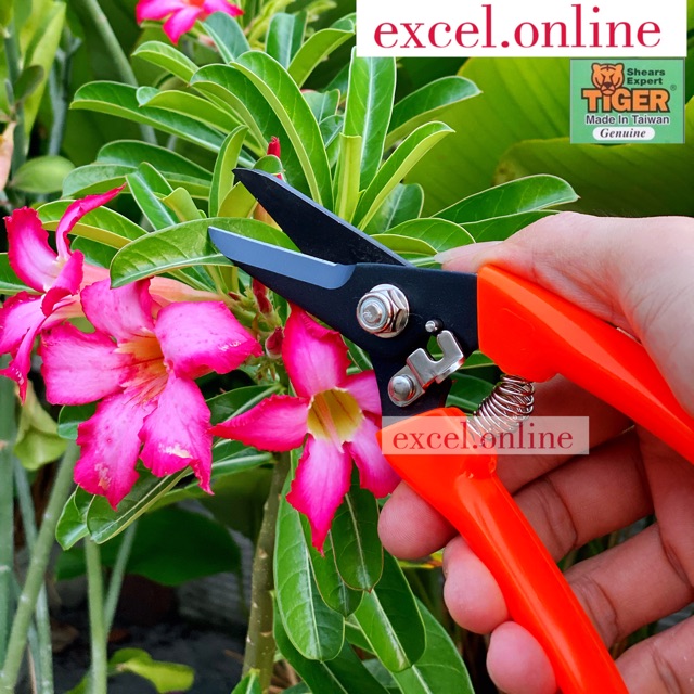 ORIGINAL TIGER 702 PRUNING SHEARS/ GUNTING DAHAN POKOK BUNGA/ WIRING ...