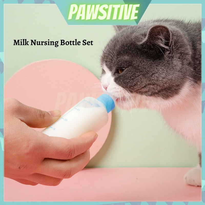 PAWSITIVE Cat Bottle/Kitten Milk Bottle/Kitten Milk Feeder/Botol Kucing ...