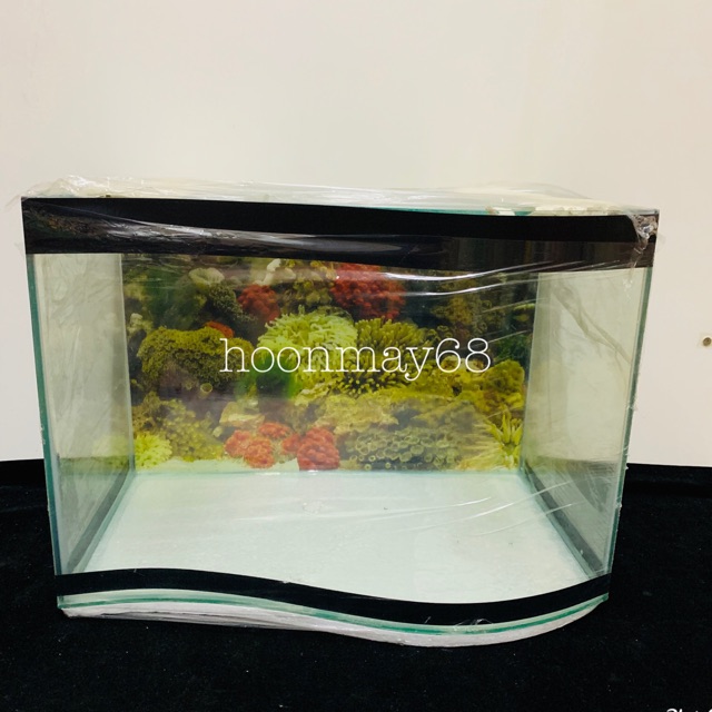 Aquarium Curved Fish Tank for small fish/ Aquarium kaca /S 形小鱼缸 24cm x ...