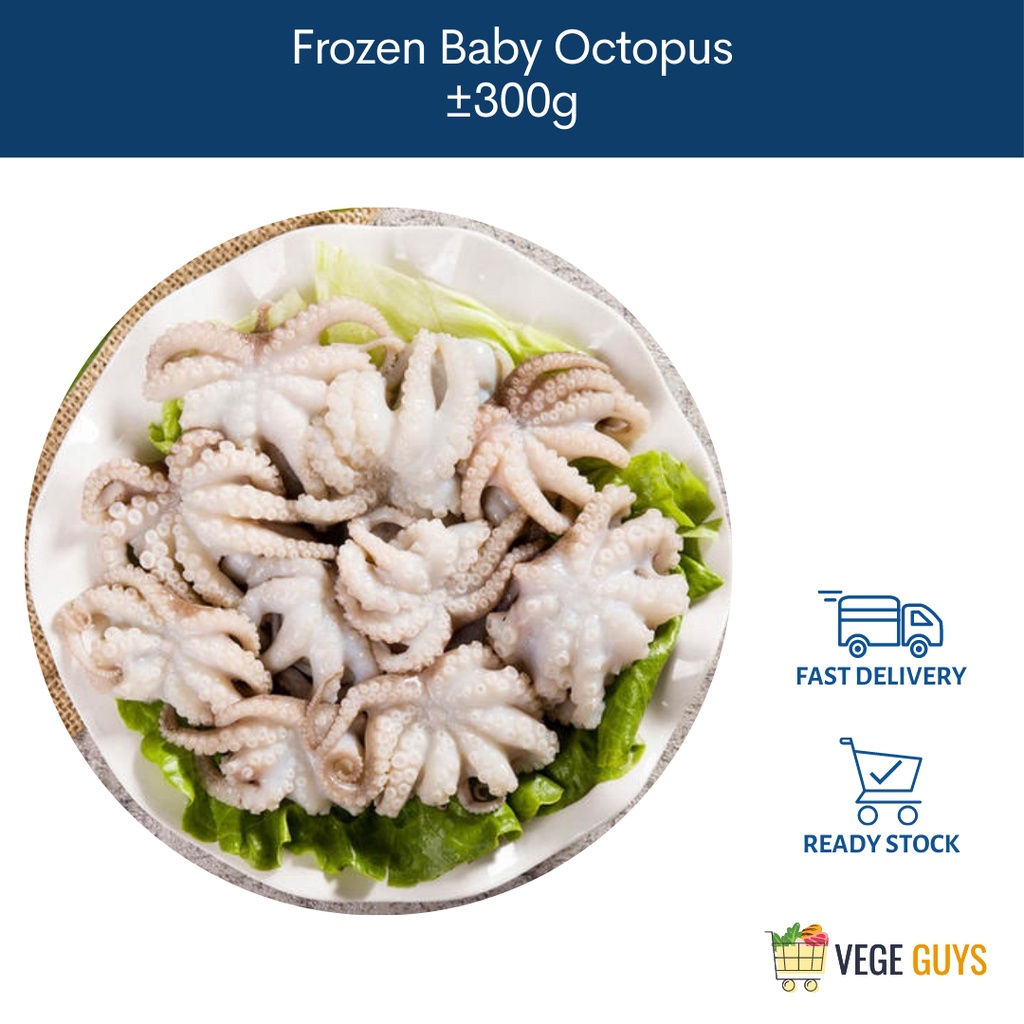 Baby Octopus 小章鱼 (300g) | Shopee Malaysia