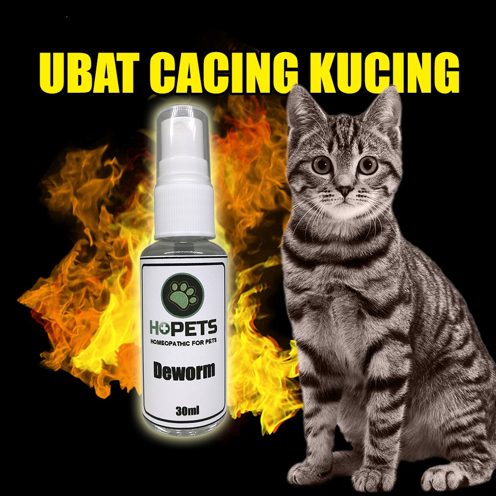 Ubat Cacing Kucing - Ubat Cacing Kucing Spray Cecair Homeopathy 30ml ...