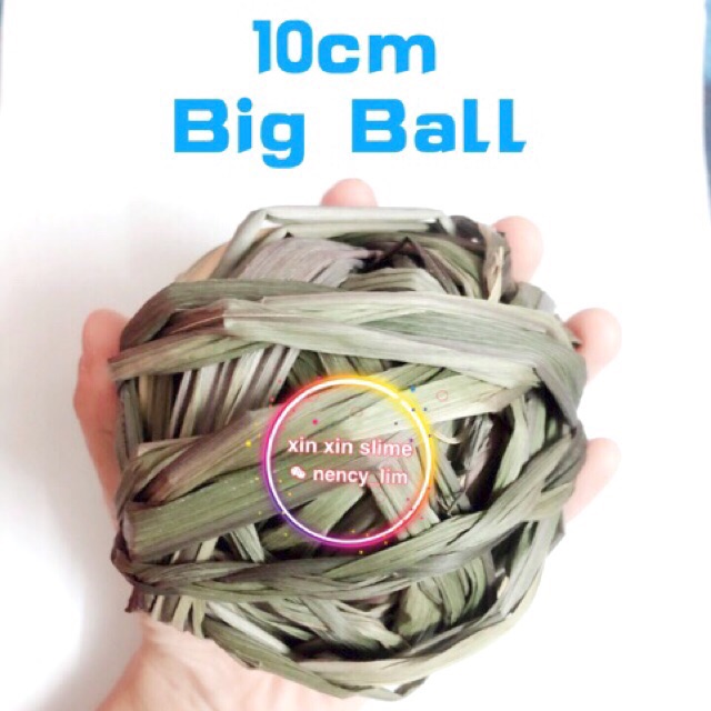 Big ball🔟cm Napier hay马草球玩具可食【超级香】 Guinea Pig /marmut/天竺鼠/豚鼠的最爱 ...