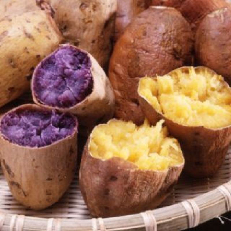 UBI MADU JEPUN + UBI UNGU (+/-500g) | Shopee Malaysia