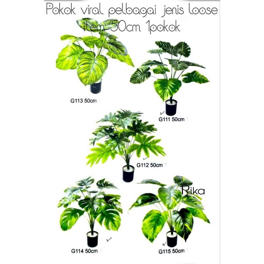 Pokok viral pelbagai designs G111 ~ G115 50cm 1pokok | Shopee Malaysia